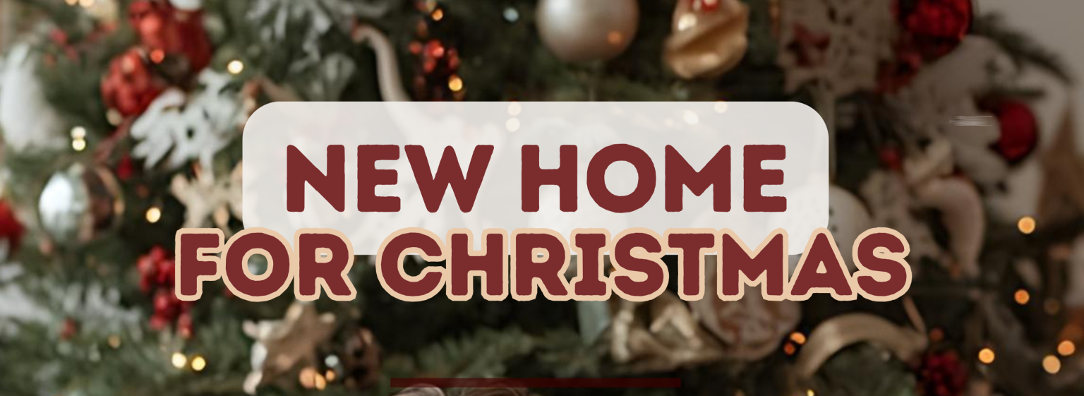 Beacon Hill – Pobl Living